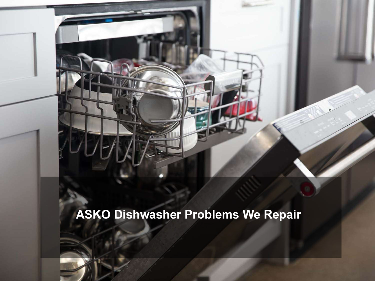 ASKO Dishwasher Repair By Factory Certified Technicians